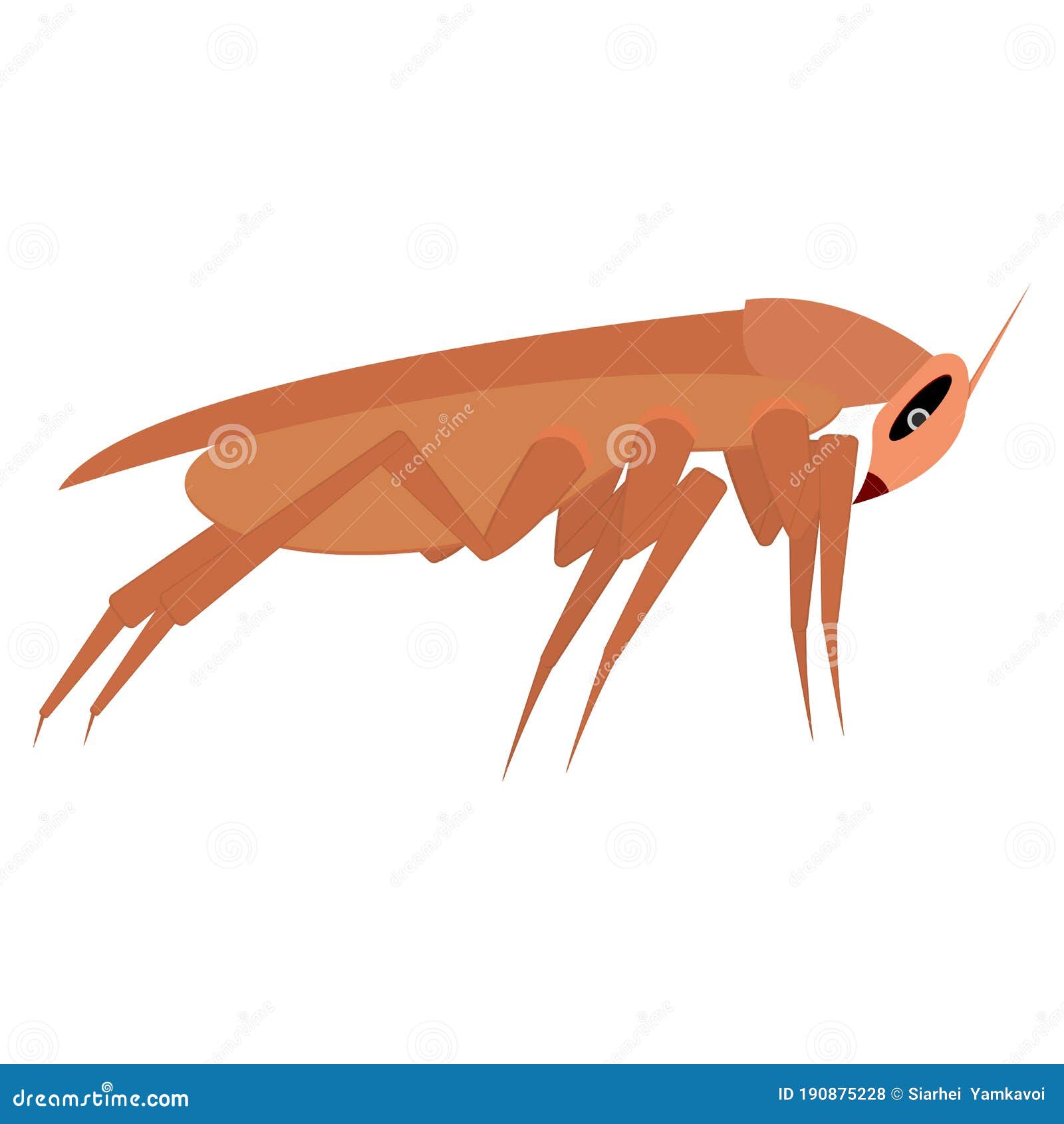 Brown Long Cockroach. Side View. Template, Part for Design. Isolated ...