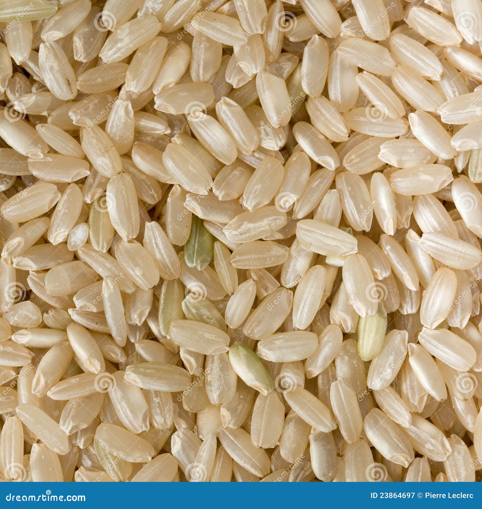 Brown long grain rice stock image. Image of brown, ingredients - 23864697