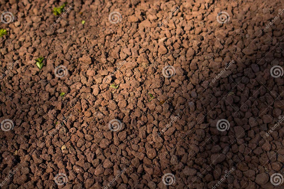 Brown lumpy soil stock photo. Image of lumpy, agriculture - 71489276