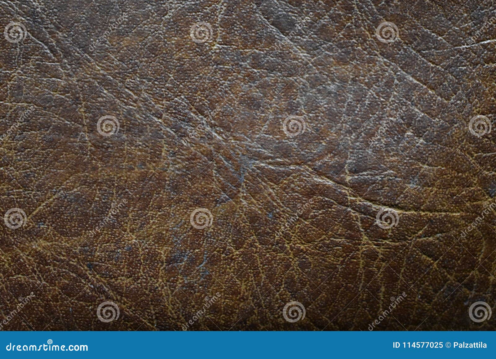 Brown Luxury Leather Pattern Stock Image - Image of skin, structured ...