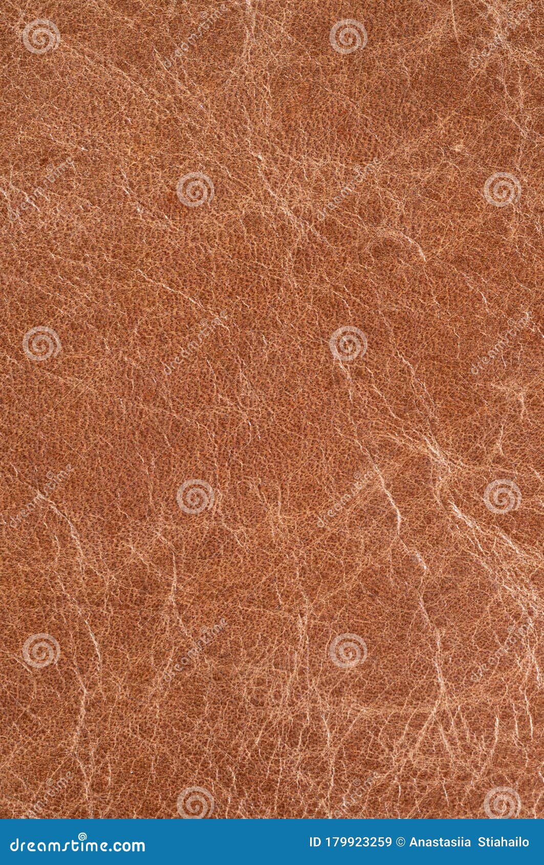 Brown Luxury Leather Samples Close-up. Can Be Used As Background Stock ...