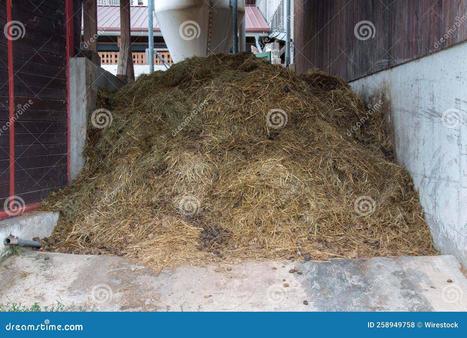 Brown Manure Heap in a Farm Stock Photo - Image of twig, organic: 258949758