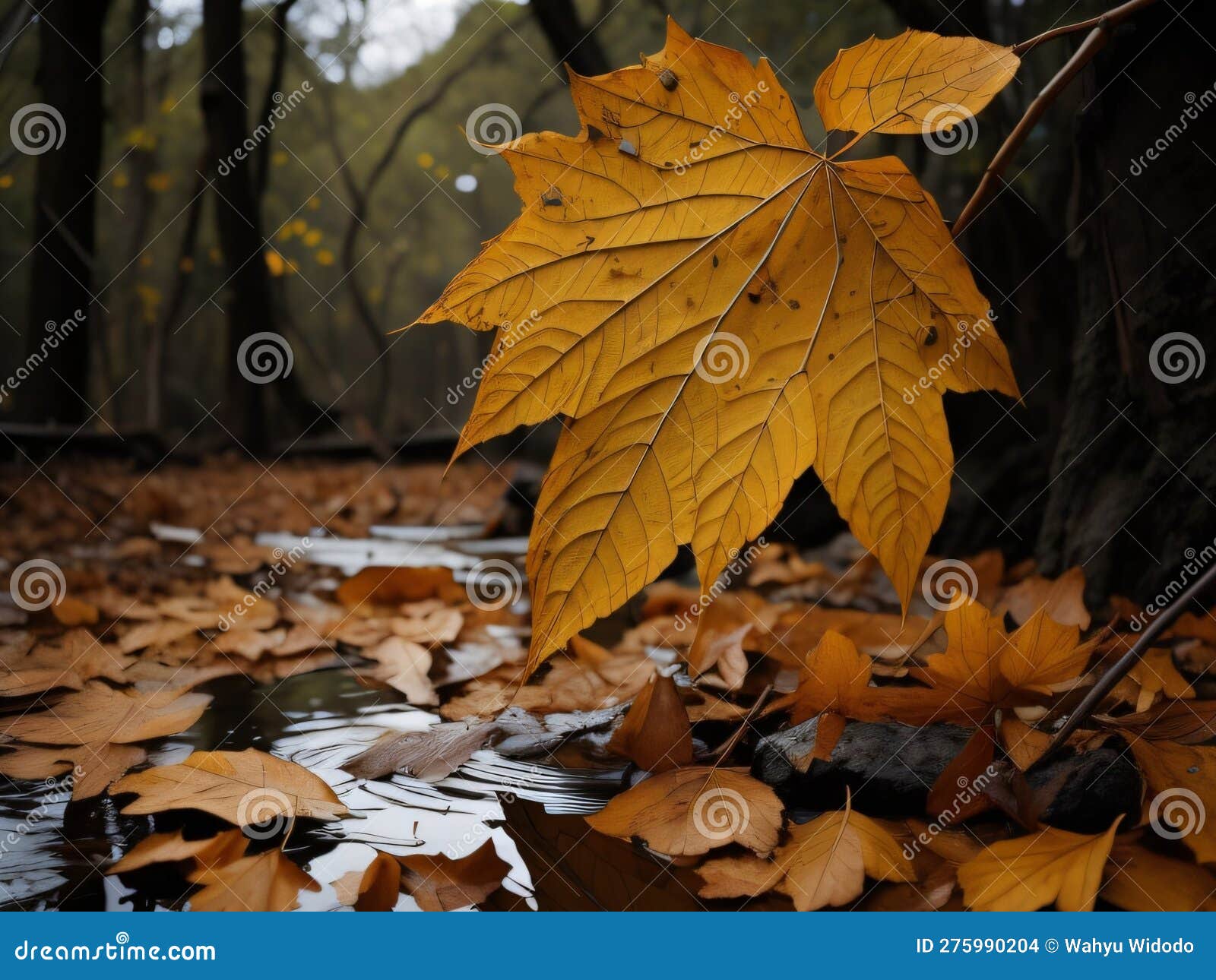 Brown Maple Leaves on Branch and Floating on the River, 3D Illustrated ...