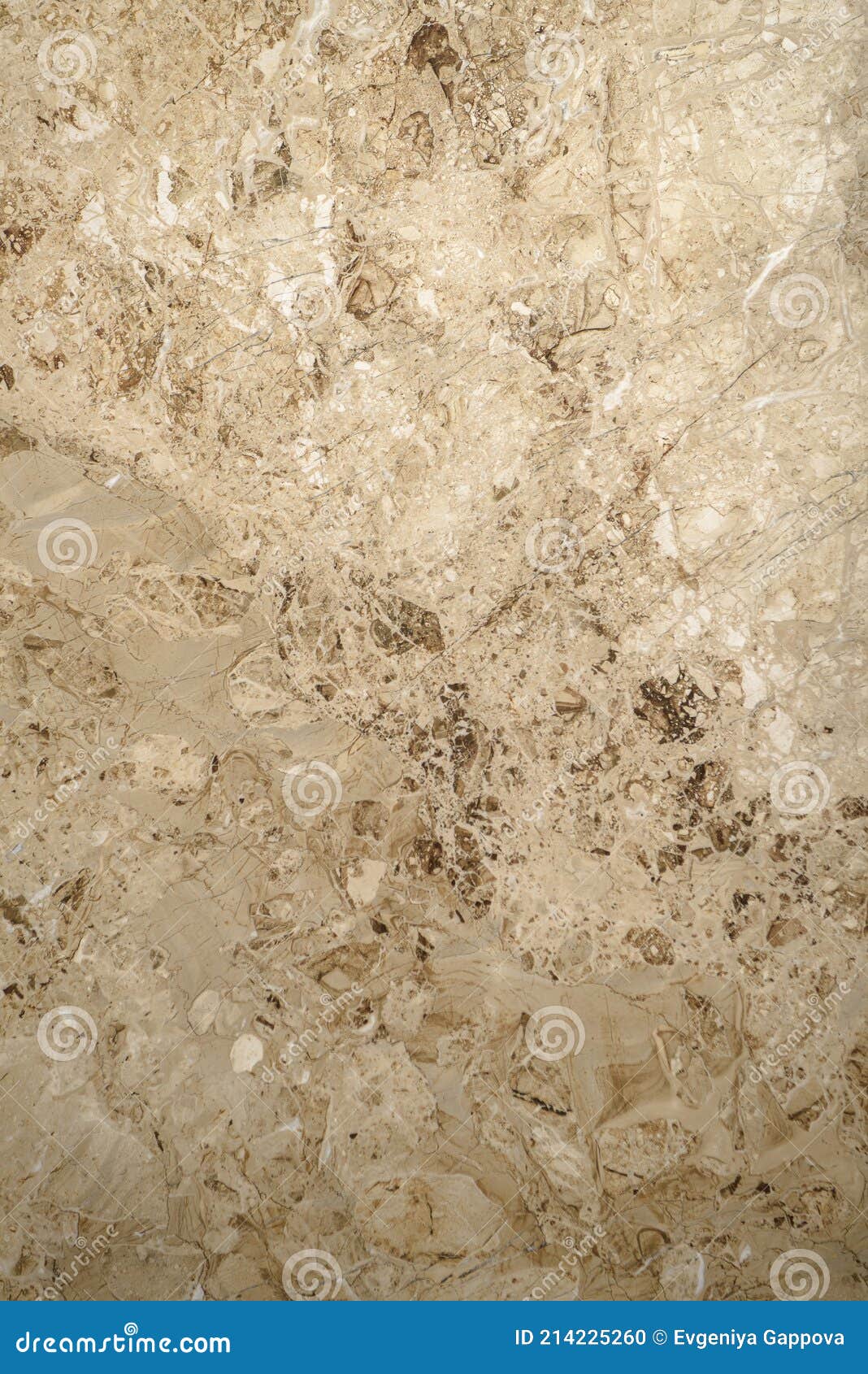 Brown Marble Stone Natural Light for Bathroom or Kitchen White ...