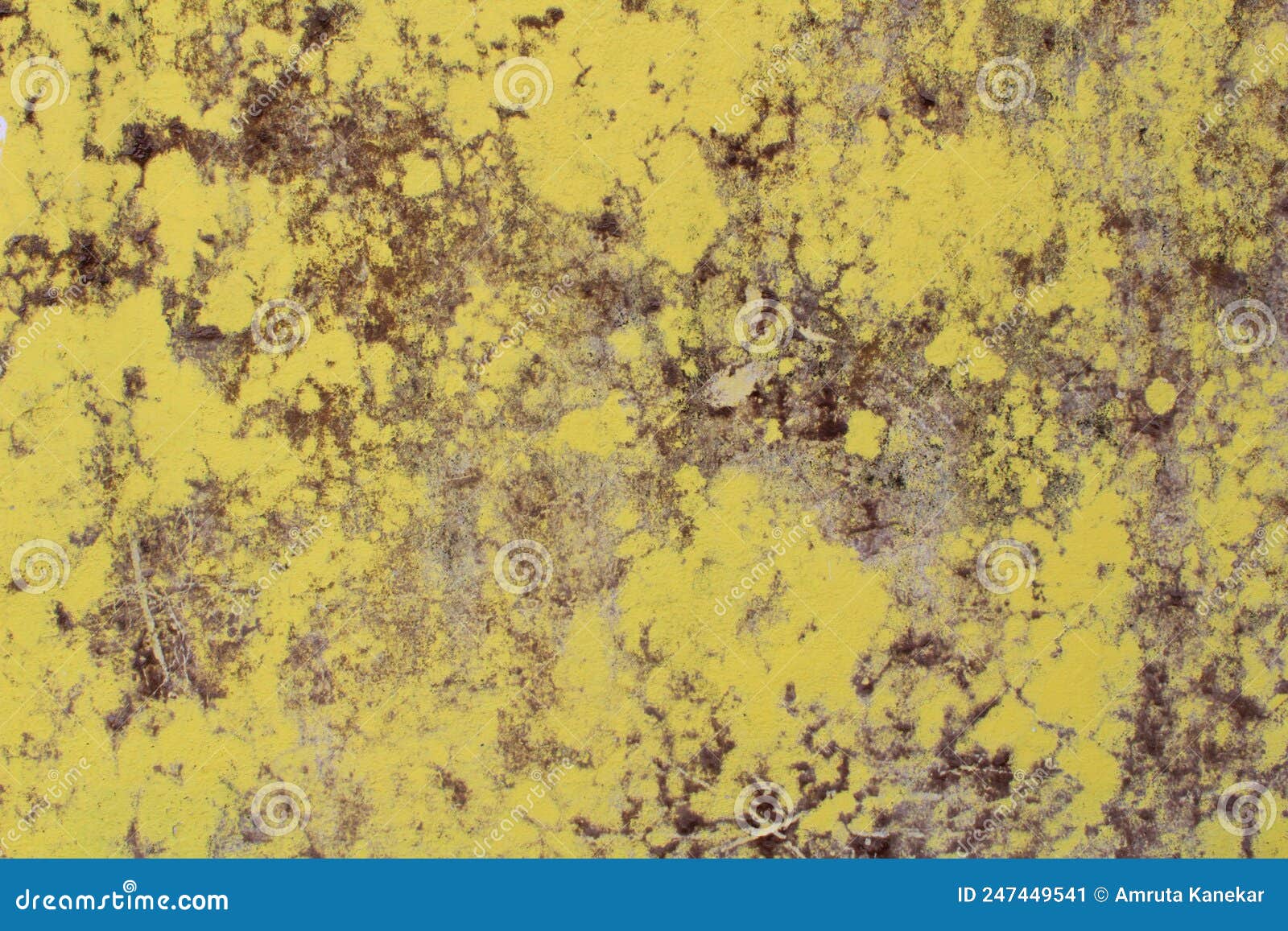 Brown Massive Moss on Yellow Painted Wall Stock Image - Image of nature ...