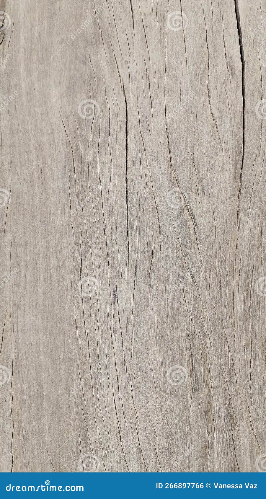 Brown matte wood texture stock photo. Image of brown - 266897766