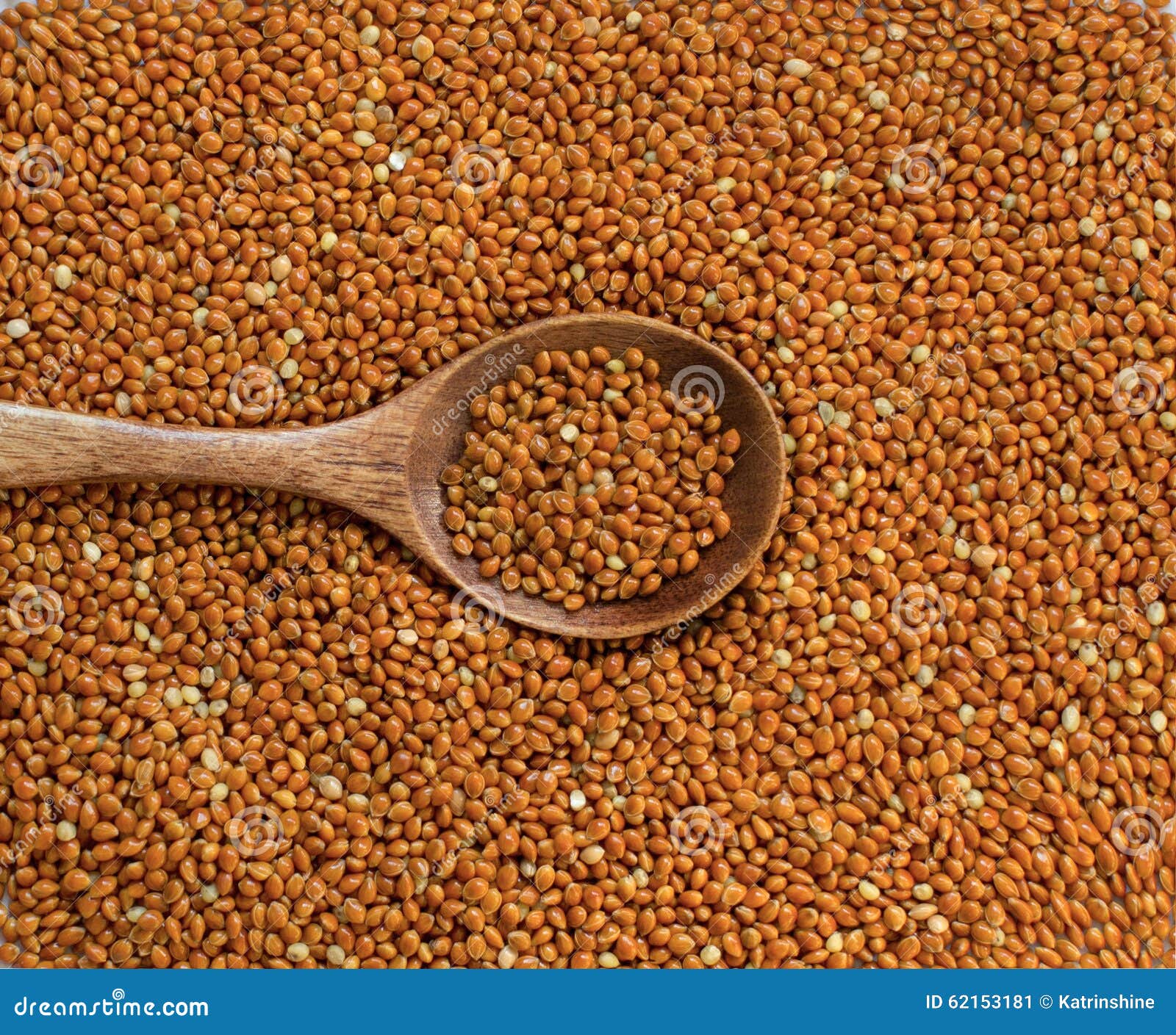 Brown Millet Pile with a Spoon Stock Image - Image of organic, closeup ...