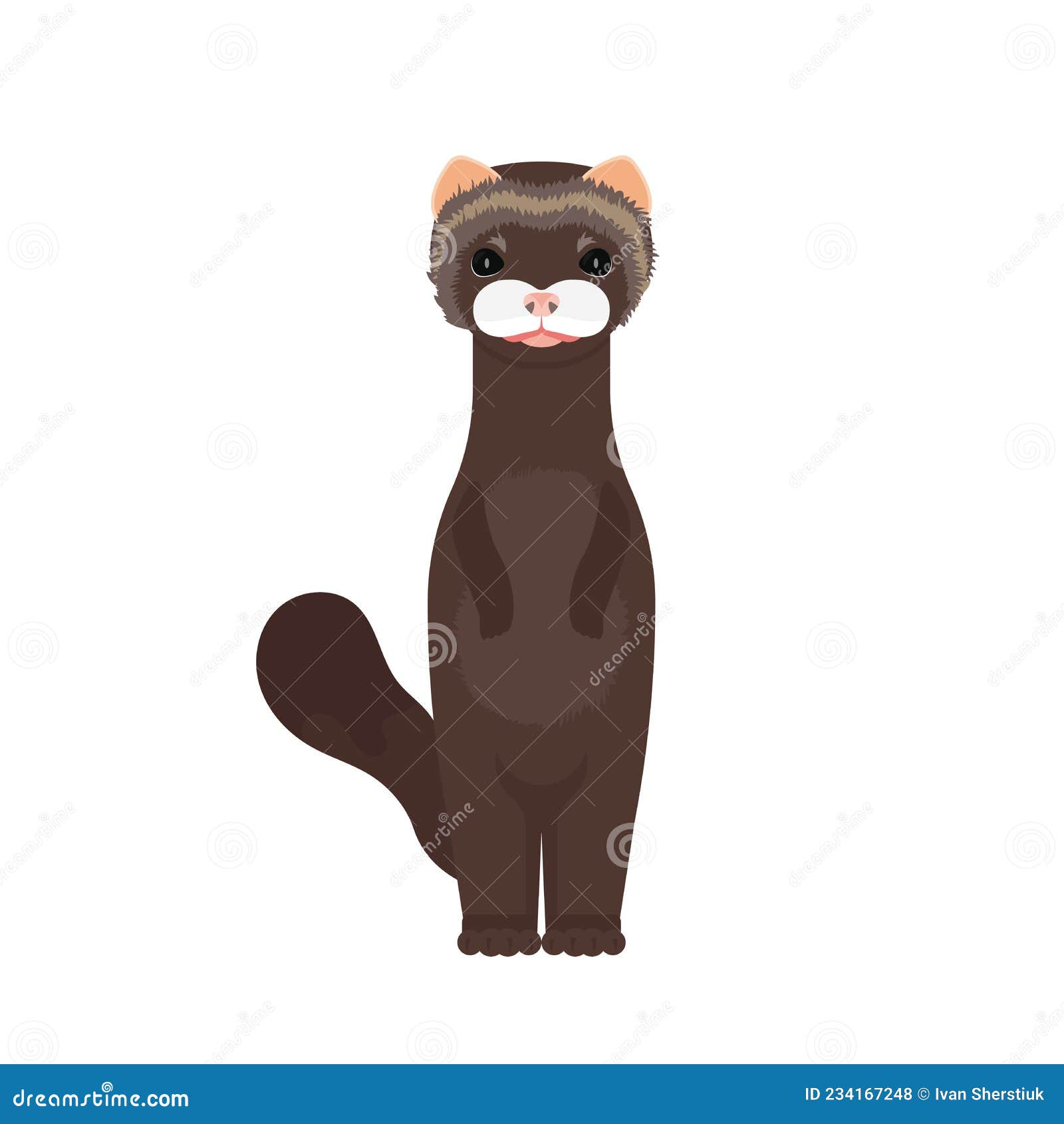 Brown Mink. Mink in a Flat Style. Isolated, Vector. Stock Vector ...
