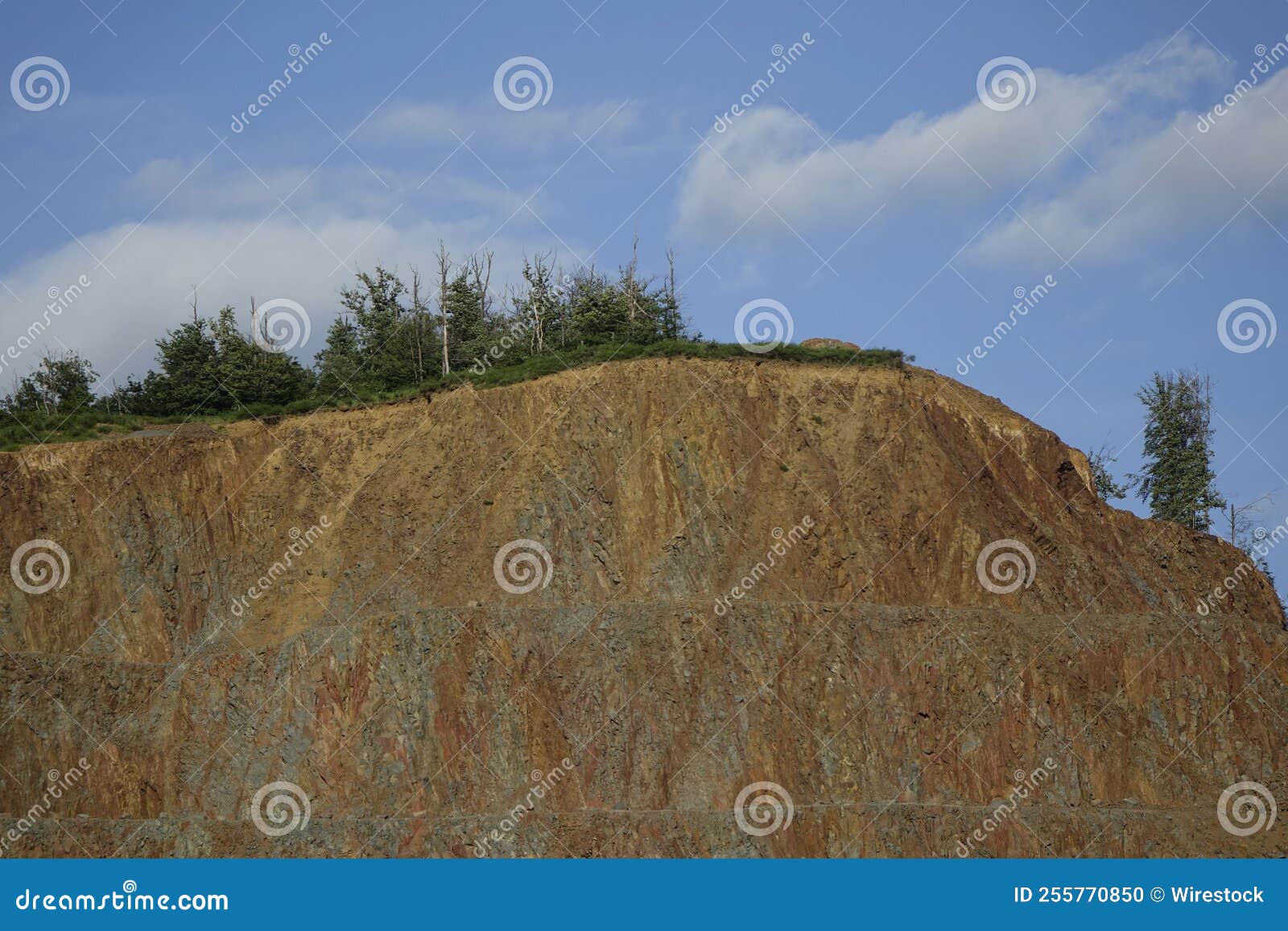 Brown Mountain Cliff with Trees on Top Stock Photo - Image of summer ...
