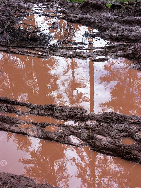 Brown Mud and Puddle with Reflection of the Forest Stock Photo - Image ...