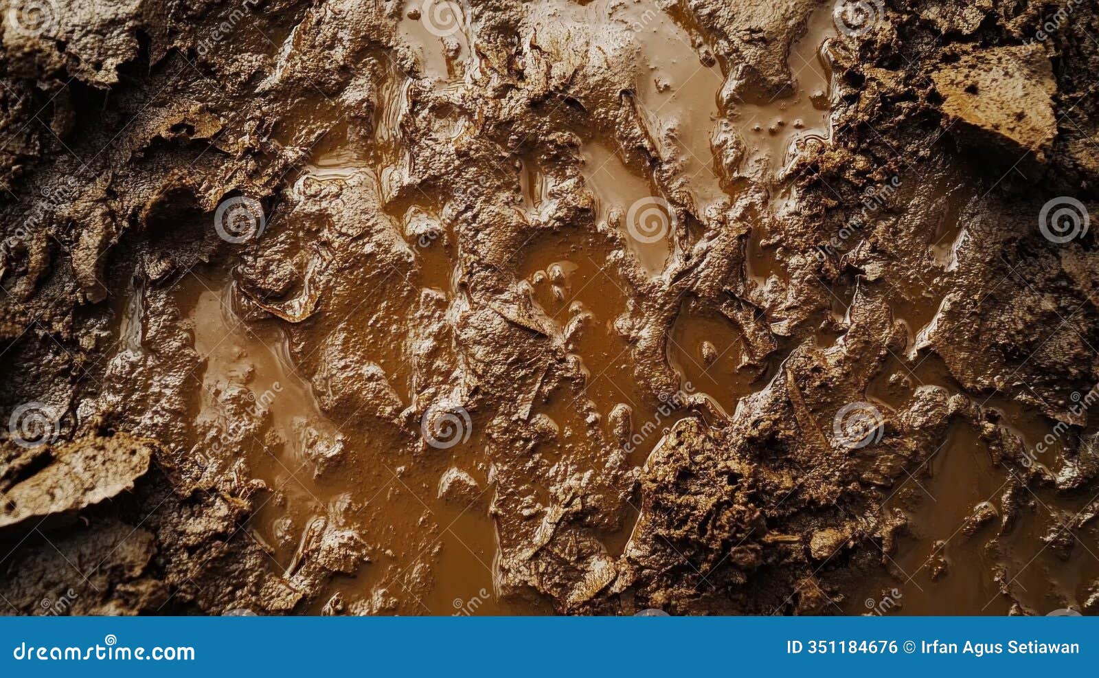 Brown Mud Texture with Water Puddles and Debris Stock Illustration ...