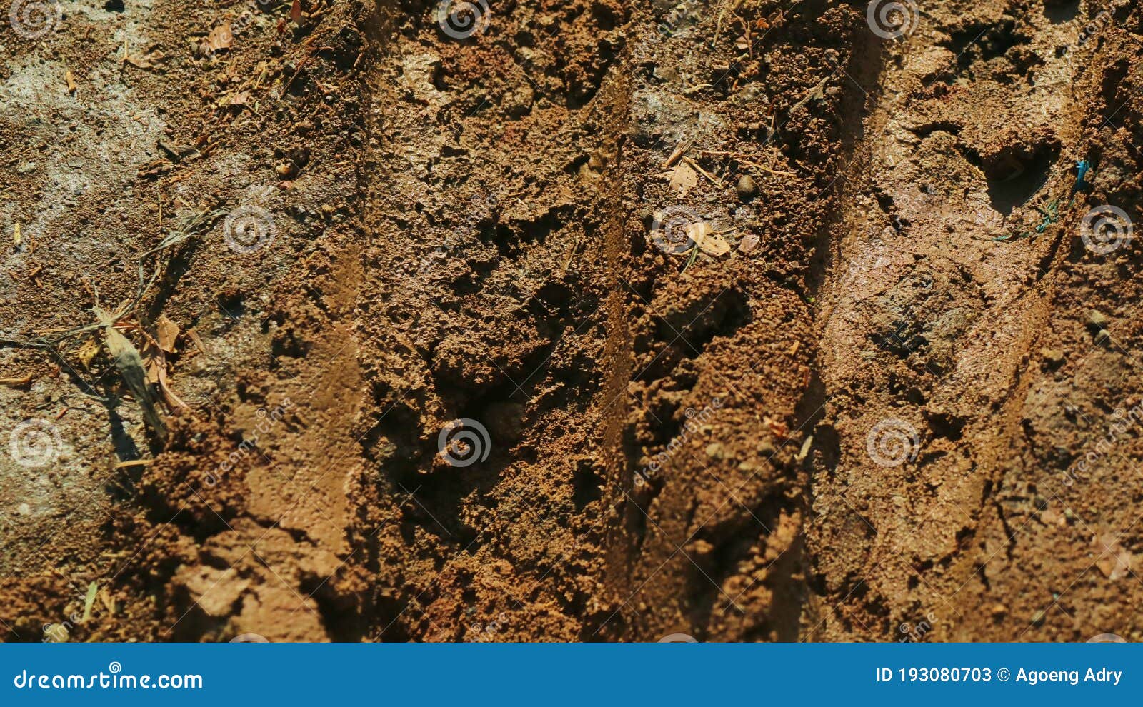 Muddy Soil from the Tropics Nature Stock Image - Image of condition ...