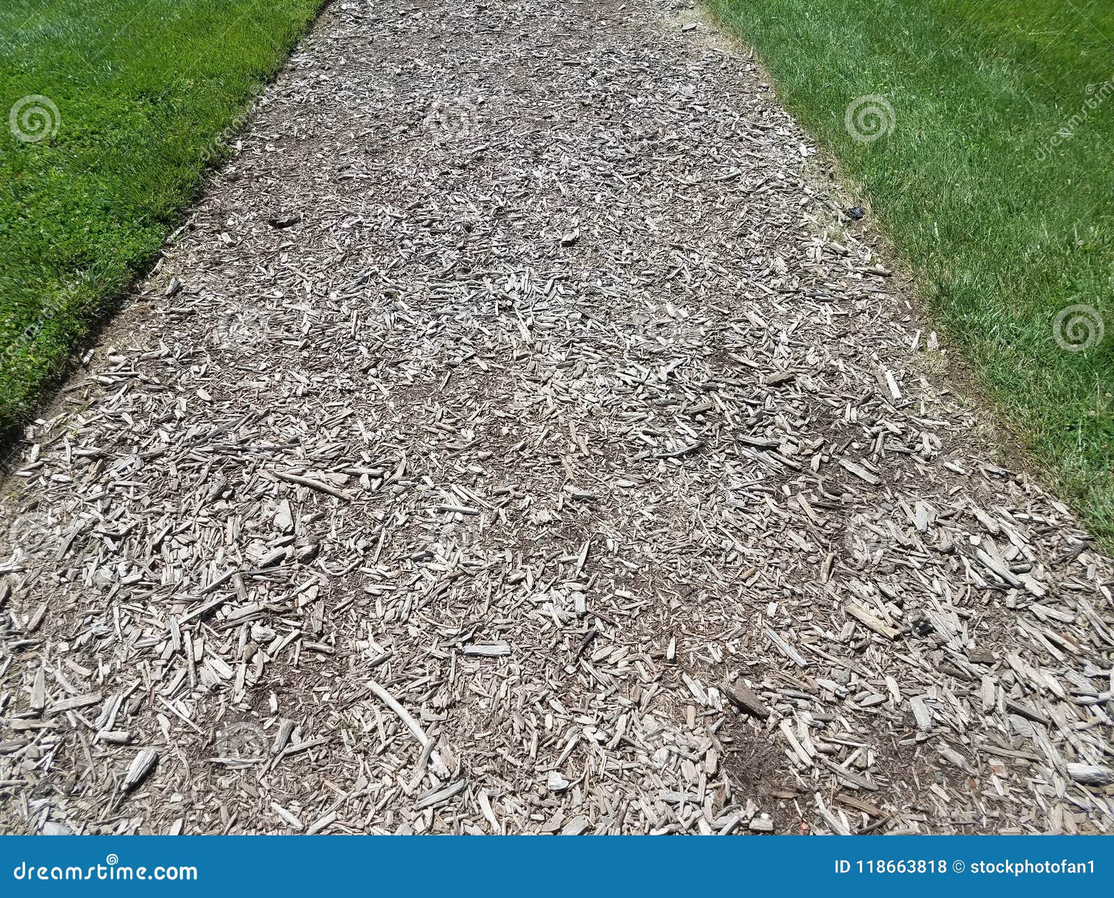 Brown Mulch or Wood Chip Trail and Green Grass Stock Photo - Image of ...
