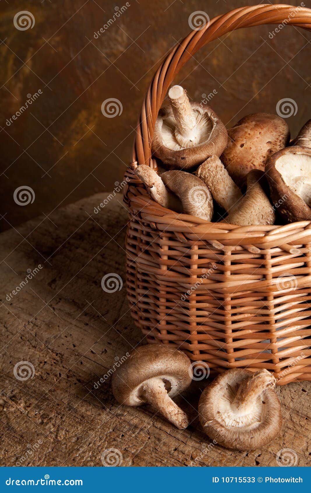 Brown mushrooms stock image. Image of autumn, fall, fungi - 10715533