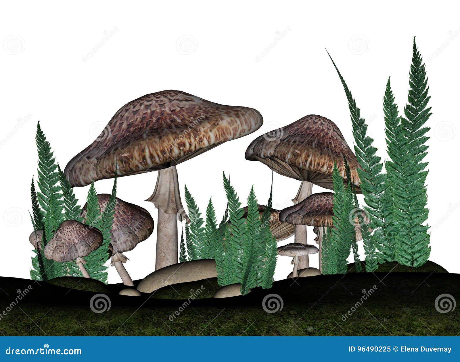 Mushrooms And Vegetation. Fungus. Mycelium. Spore Cartoon Vector ...