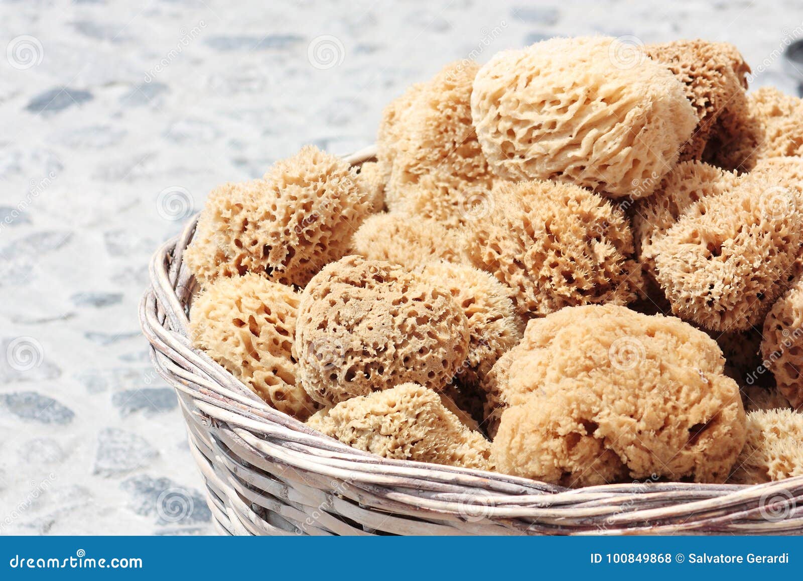 Brown Natural Greek Sea Sponge Stock Photo - Image of body, porous ...