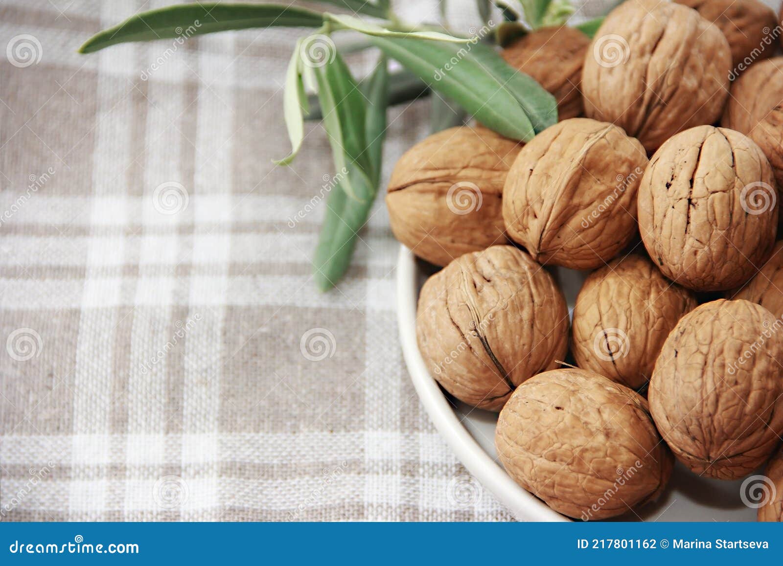 Brown Natural Walnut in a Hard Shell Stock Photo - Image of hard ...