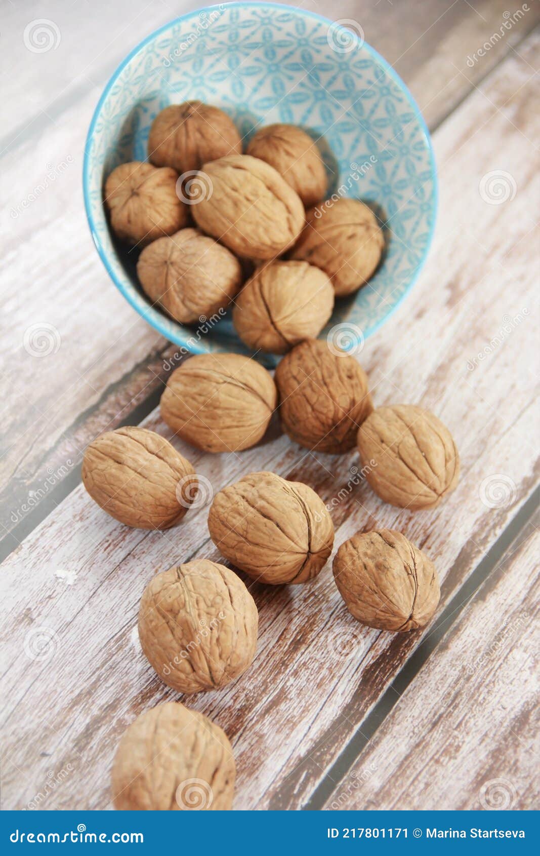 Brown Natural Walnut in a Hard Shell Stock Image - Image of garden ...
