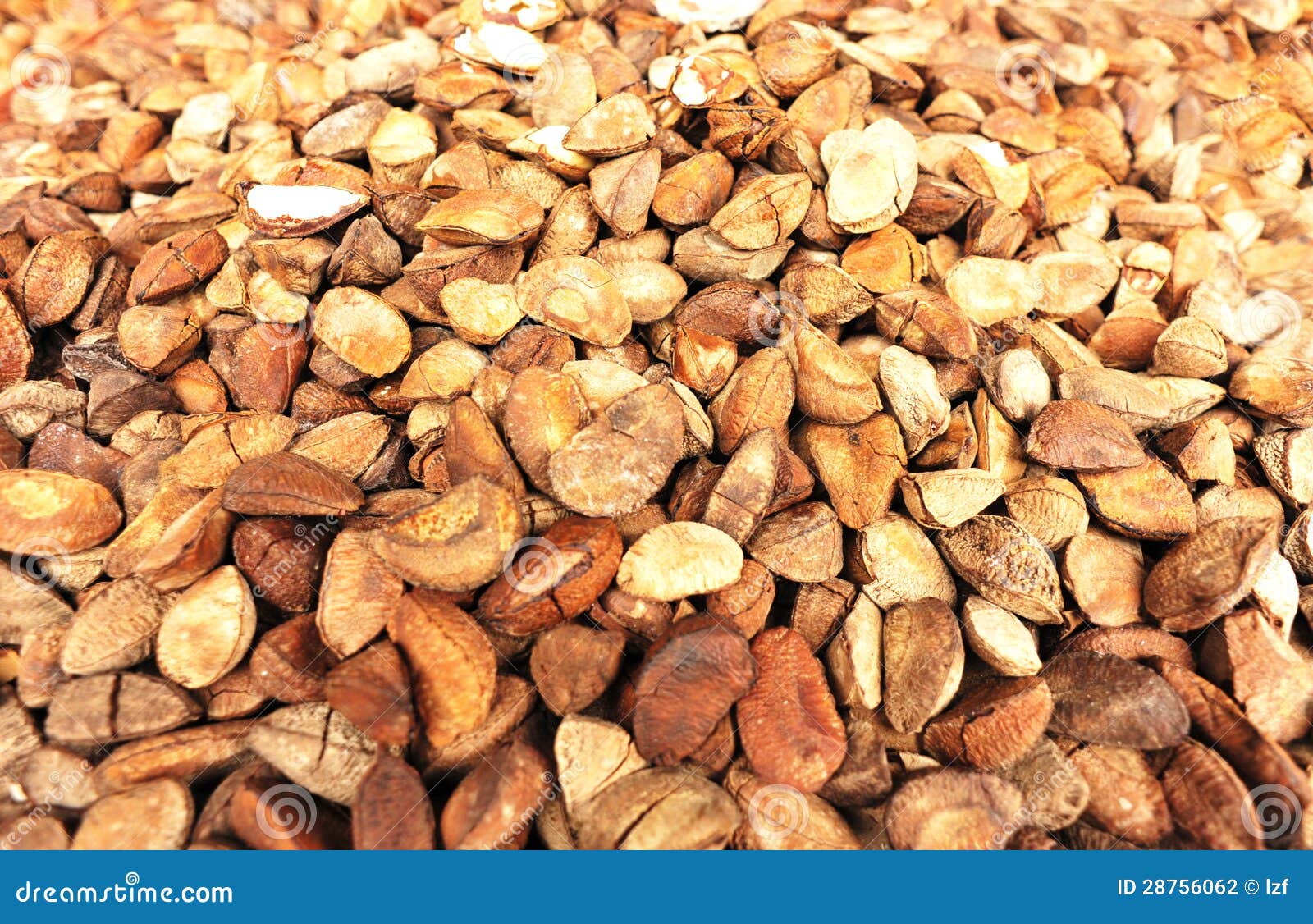 Brown nuts stock photo. Image of fair, closeup, dried - 28756062