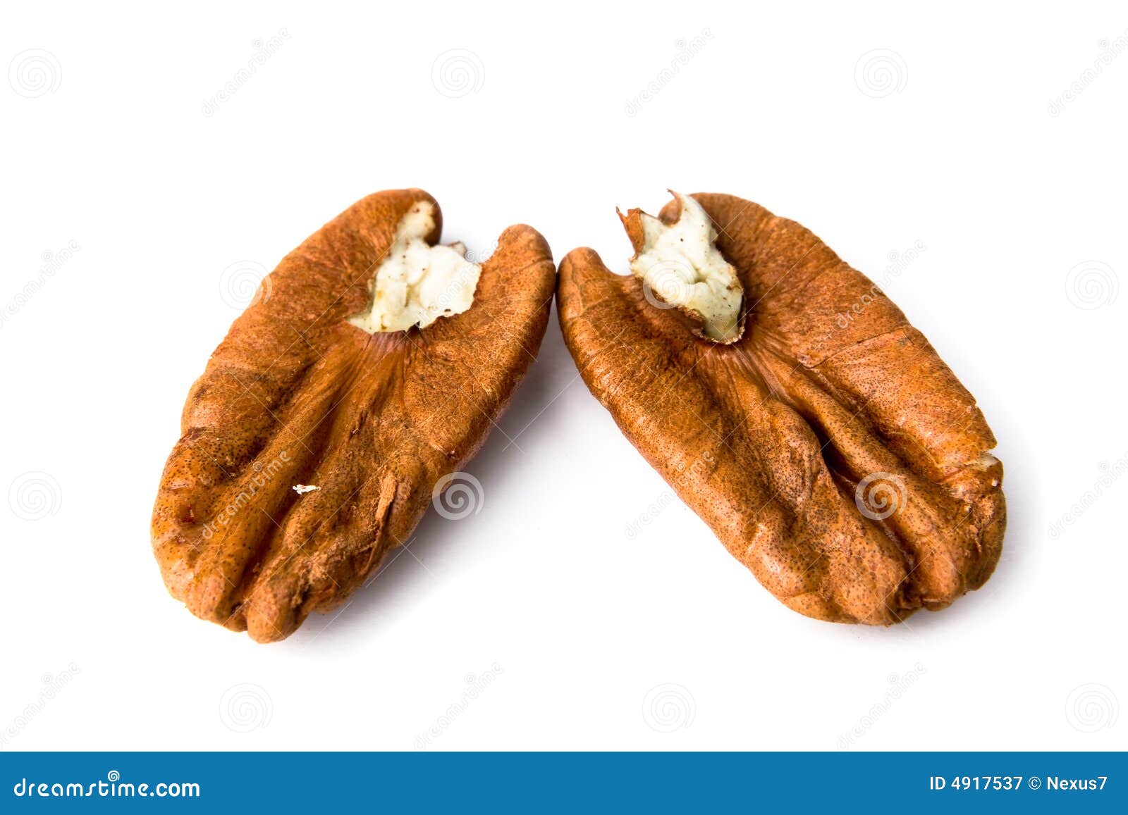 Brown nutshells stock image. Image of empty, textures - 4917537
