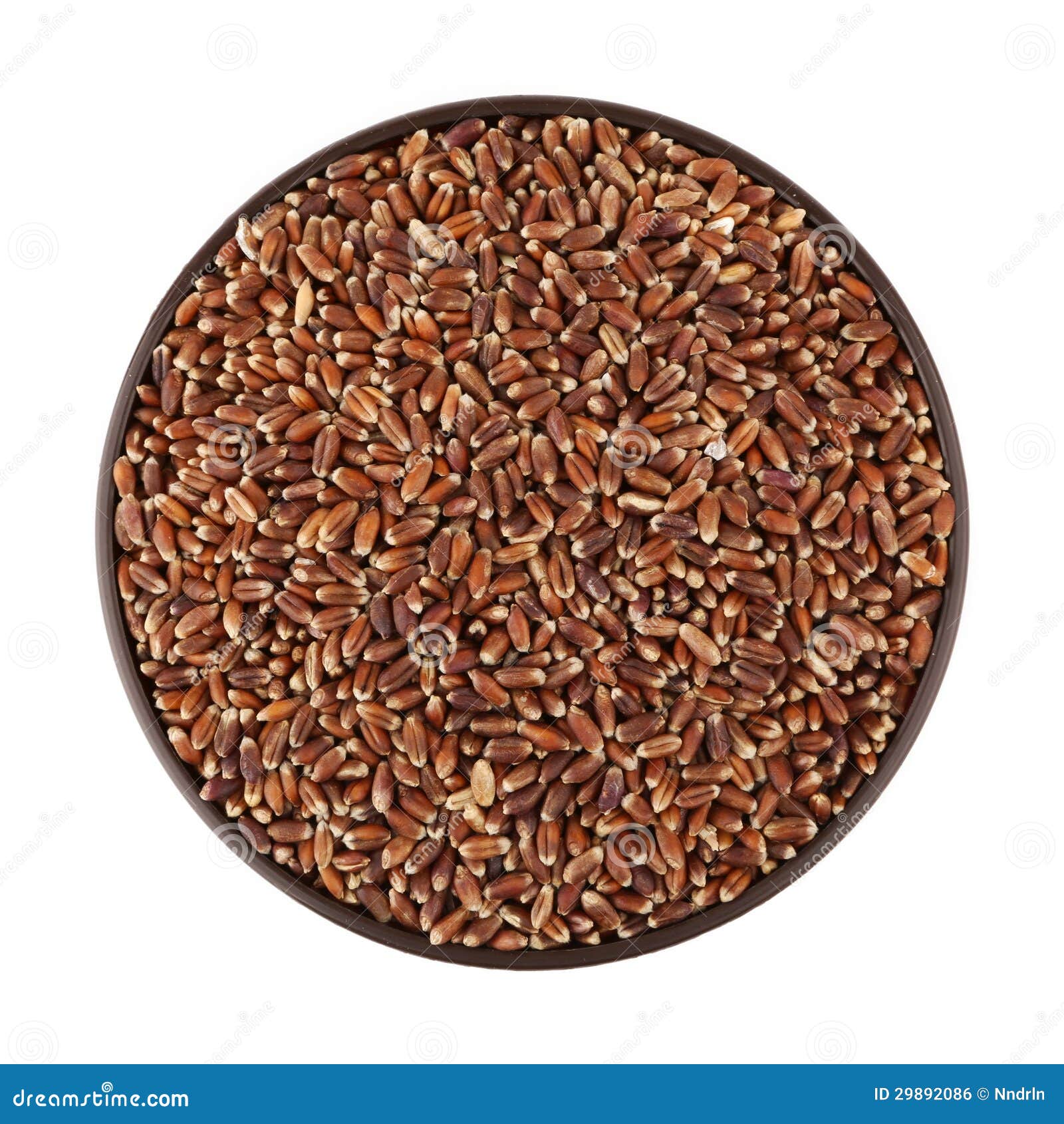 Brown oat grain stock photo. Image of nutrition, isolated - 29892086