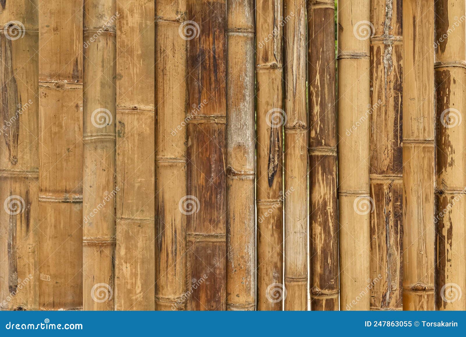 Old Bamboo Fence Texture and Background Seamless Stock Image - Image of ...