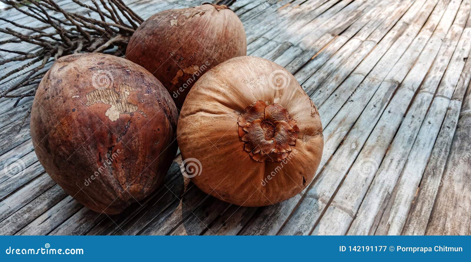 Brown old coconut fruit. stock image. Image of wooden - 142191177