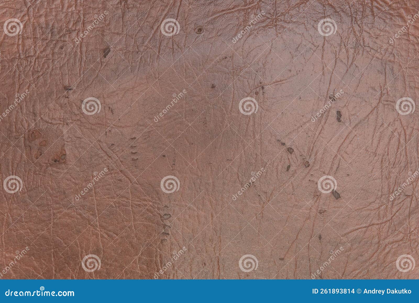 Brown Old Leather Torn Ripped Material Surface Texture Vintage Worn ...