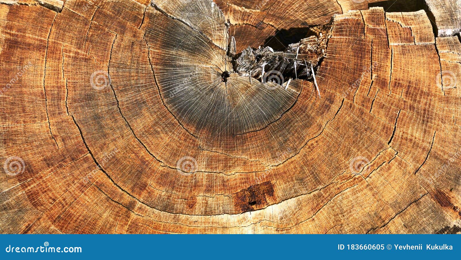 Brown Old Wood Texture Oak. Top View Stock Image - Image of timber ...