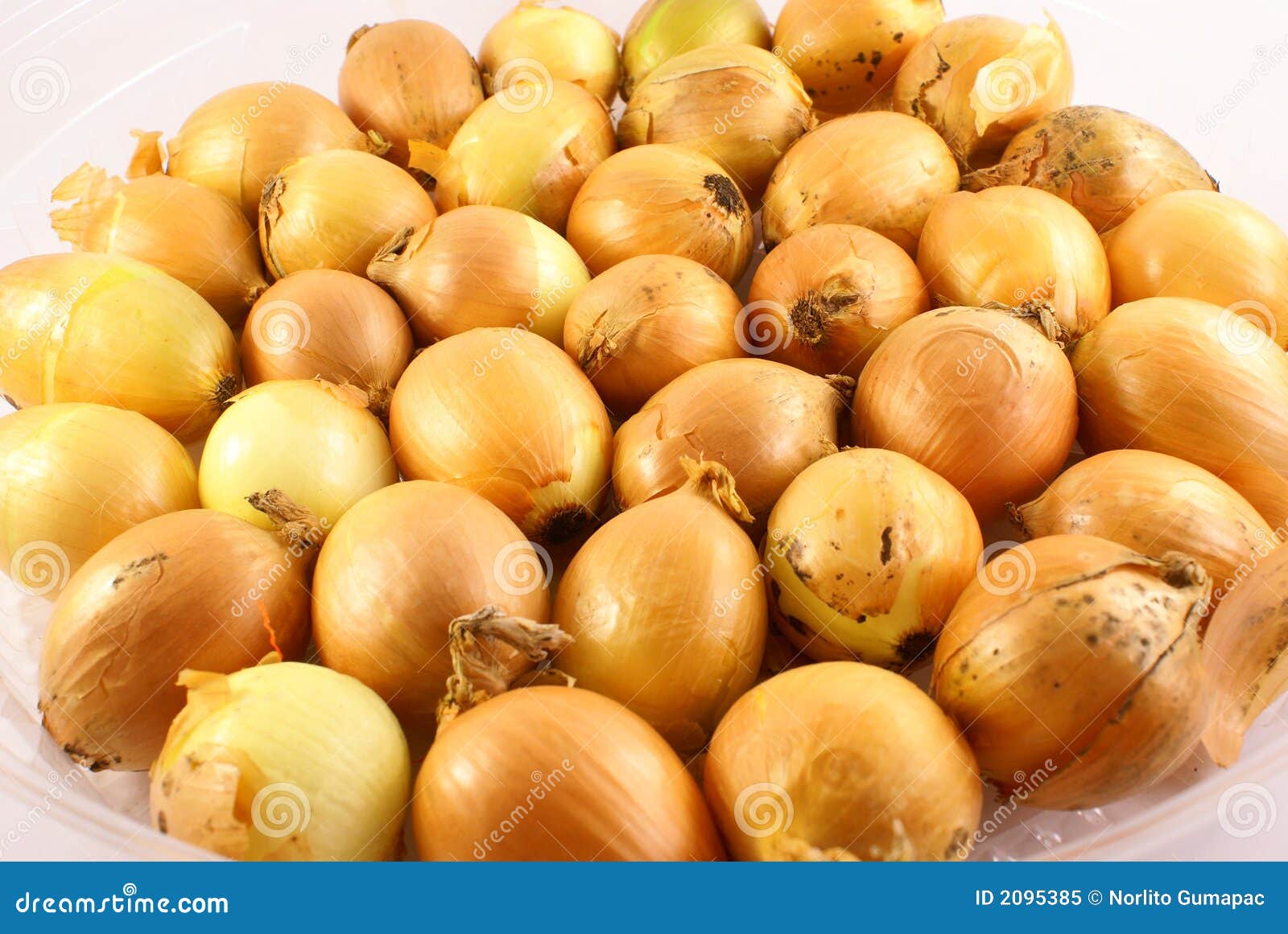 Brown onions stock image. Image of kitchen, food, empty - 2095385