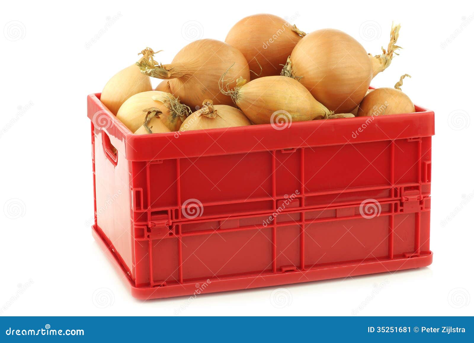Brown Onions in a Red Plastic Box Stock Image - Image of isolated ...