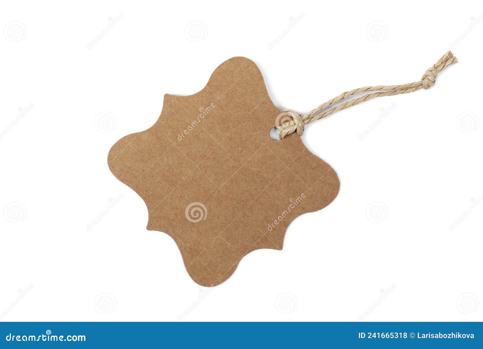 Brown Paper Label Tag with Rope Stock Photo - Image of sale, hang ...