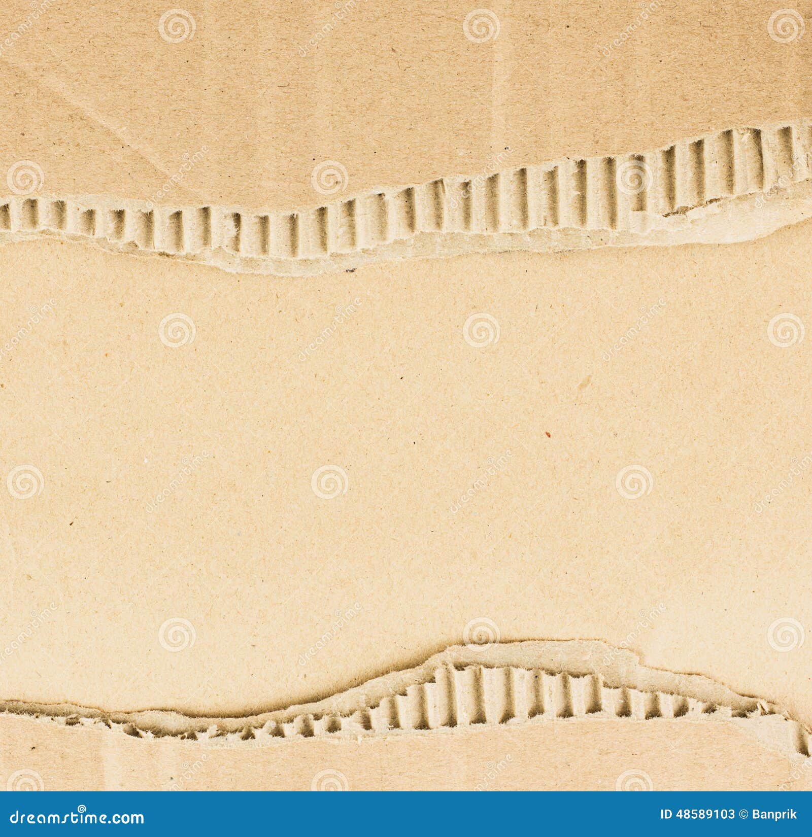 Brown paper tear as frame stock image. Image of torn - 48589103