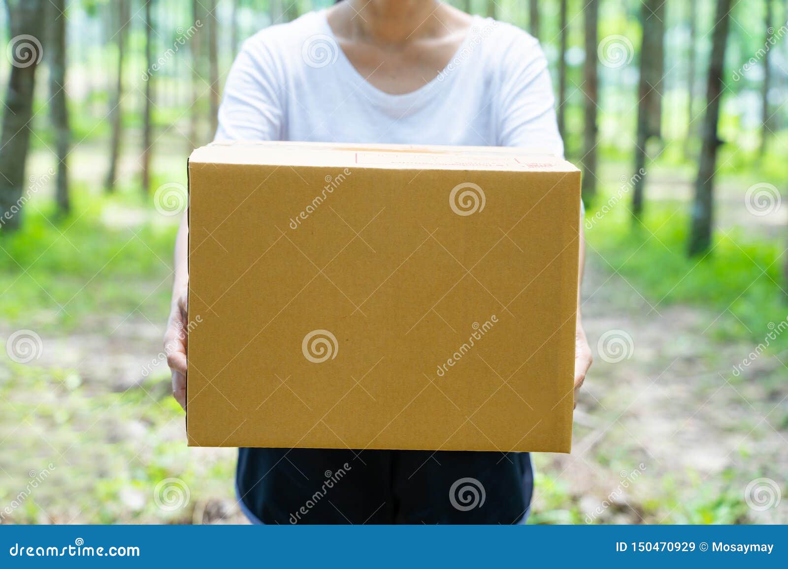 Brown Parcel Box for Shopping Online Stock Image - Image of service ...