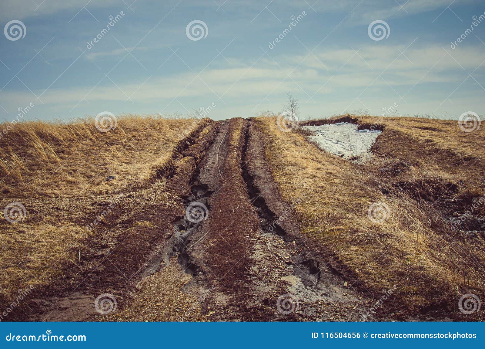 Brown Pathway Between Grass Field Picture. Image: 116504656