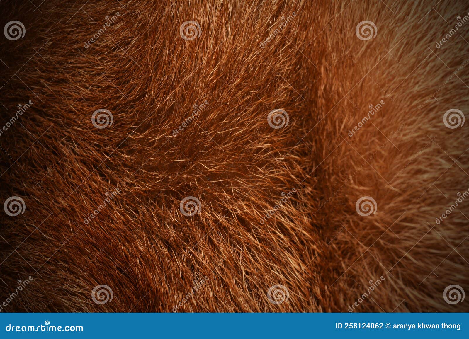 Brown Patterned Fur for Background Stock Photo - Image of puppy, hide ...
