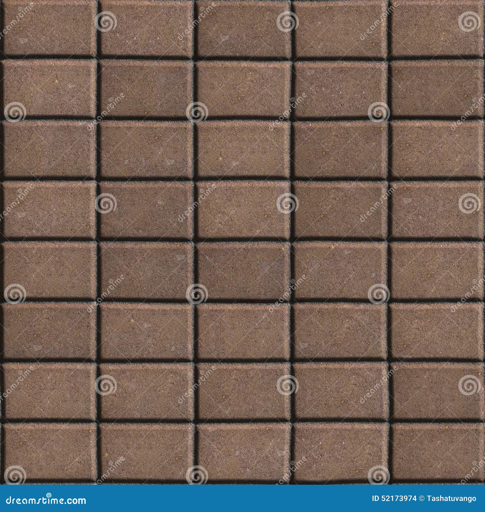 Brown Paving In The Form Of Fish Royalty-Free Stock Photo ...