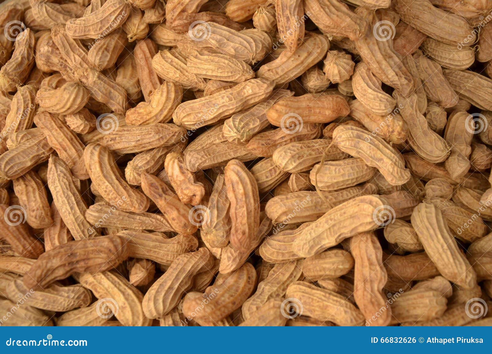 Brown peanut shells stock photo. Image of nature, nutrition - 66832626