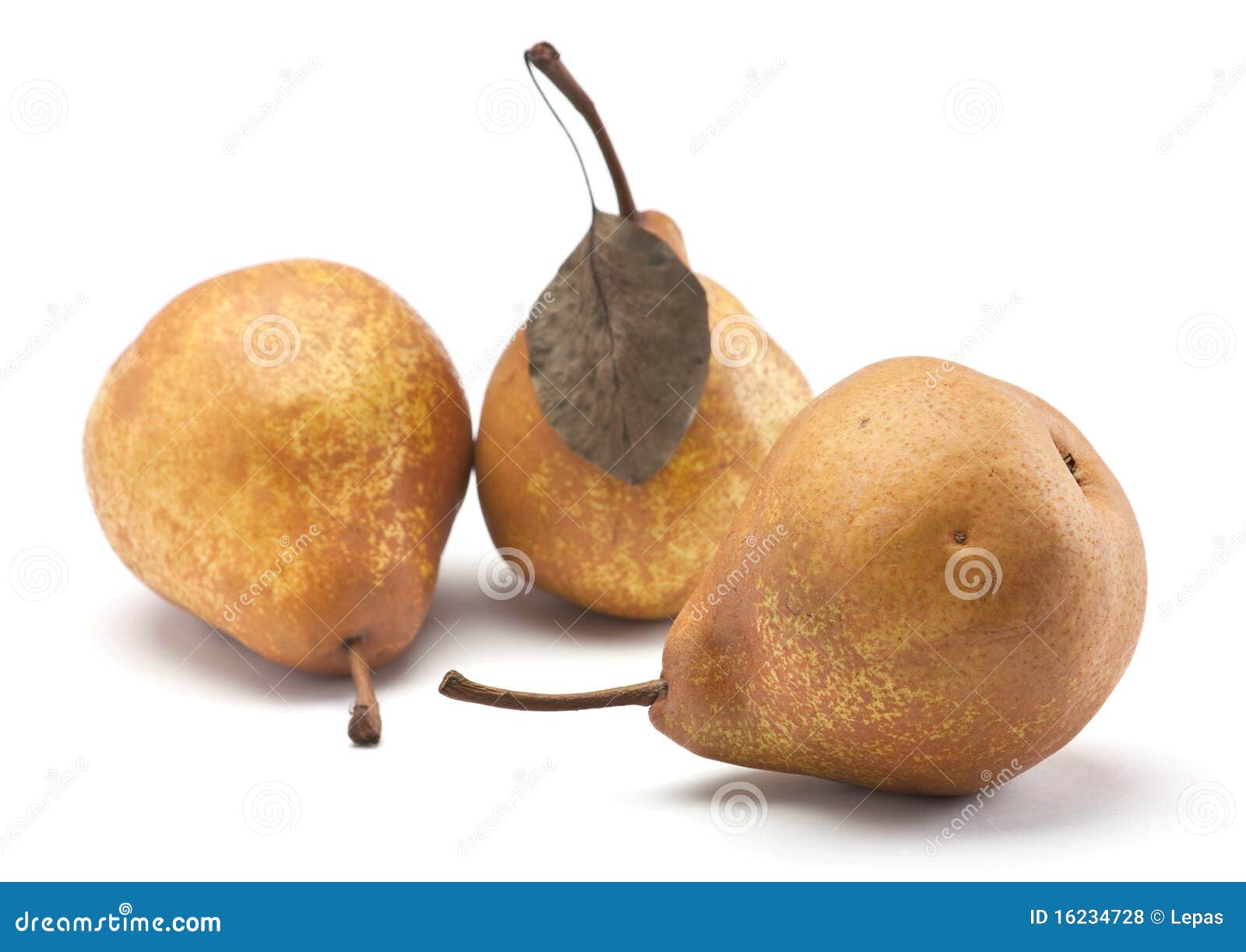 Brown pear stock photo. Image of closeup, white, leaf - 16234728