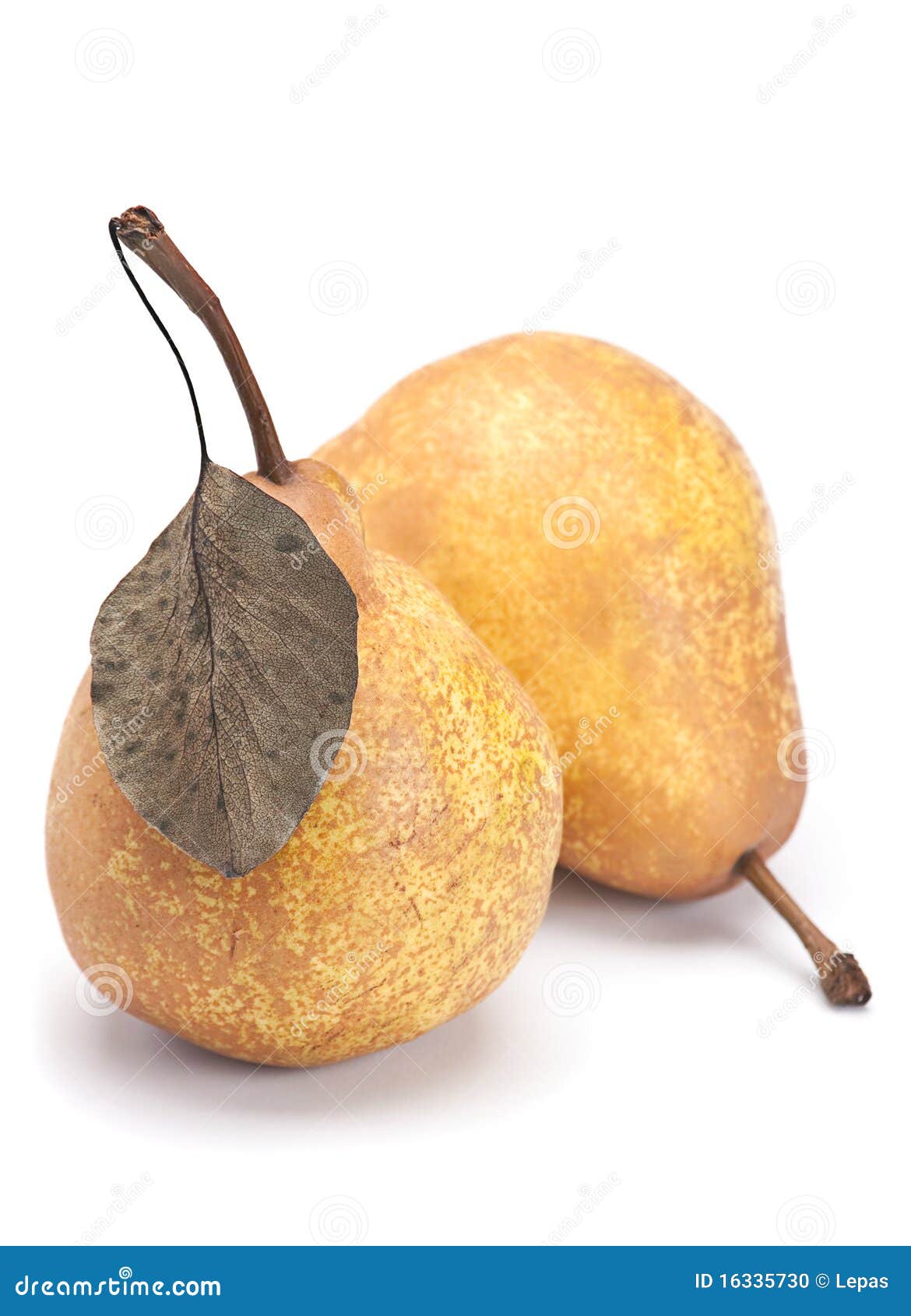 Brown pear stock photo. Image of white, ripe, isolated - 16335730