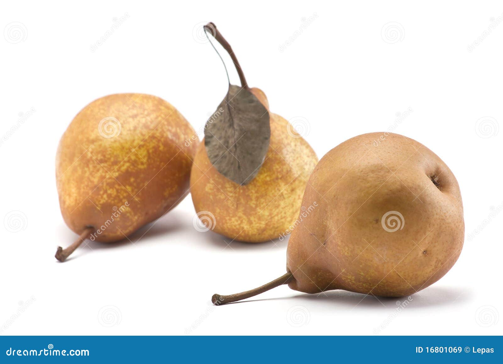 Brown pear stock image. Image of shadow, isolated, closeup - 16801069
