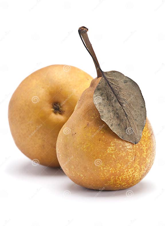 Brown pear stock image. Image of fresh, pear, ripe, white - 17803629