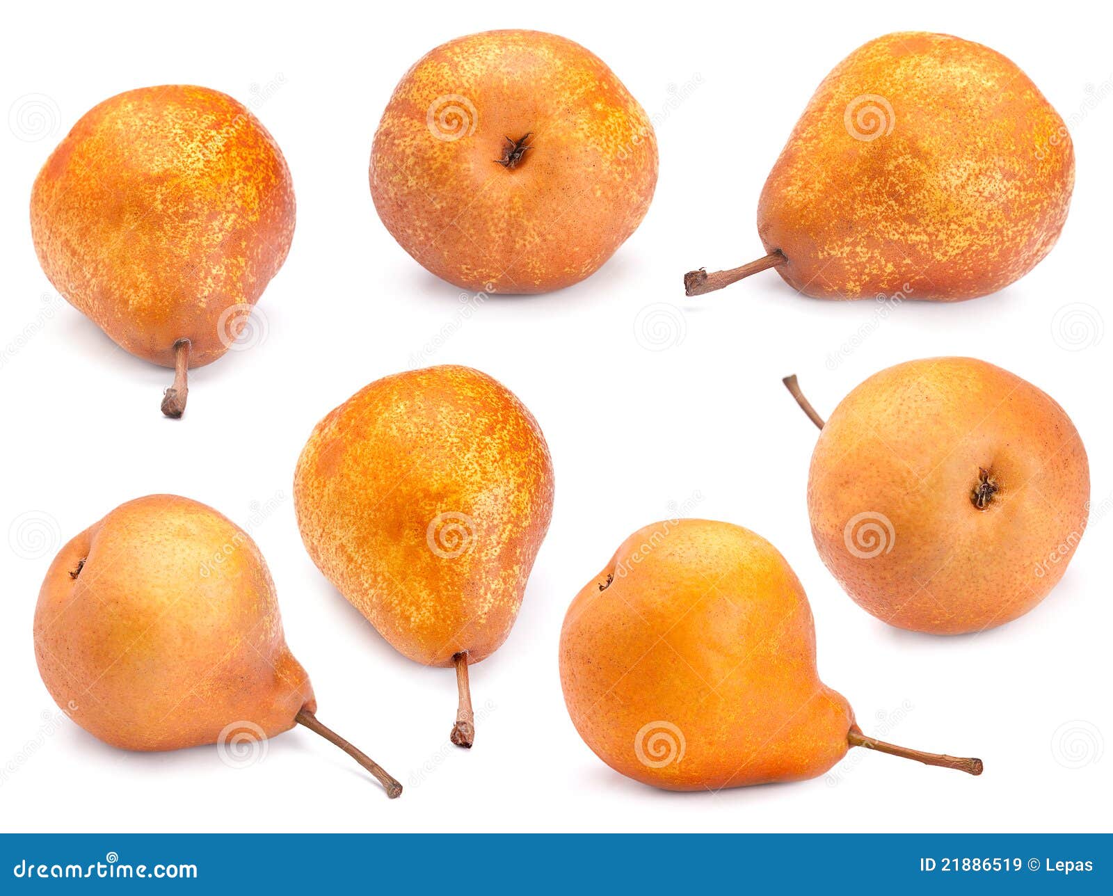 Brown pear set stock image. Image of fresh, yellow, ripe - 21886519