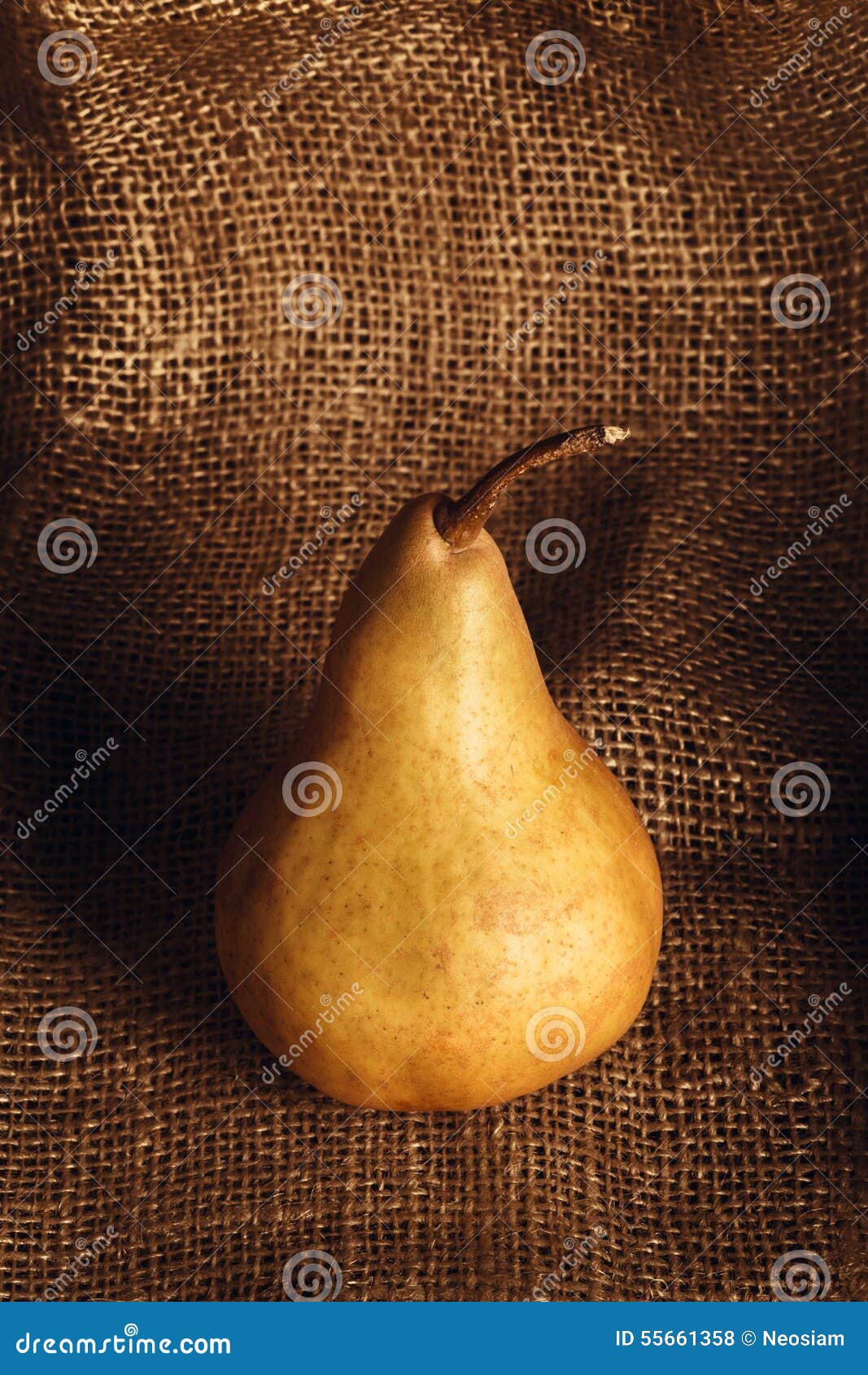 Brown Pear stock photo. Image of still, noise, bird, brown - 55661358