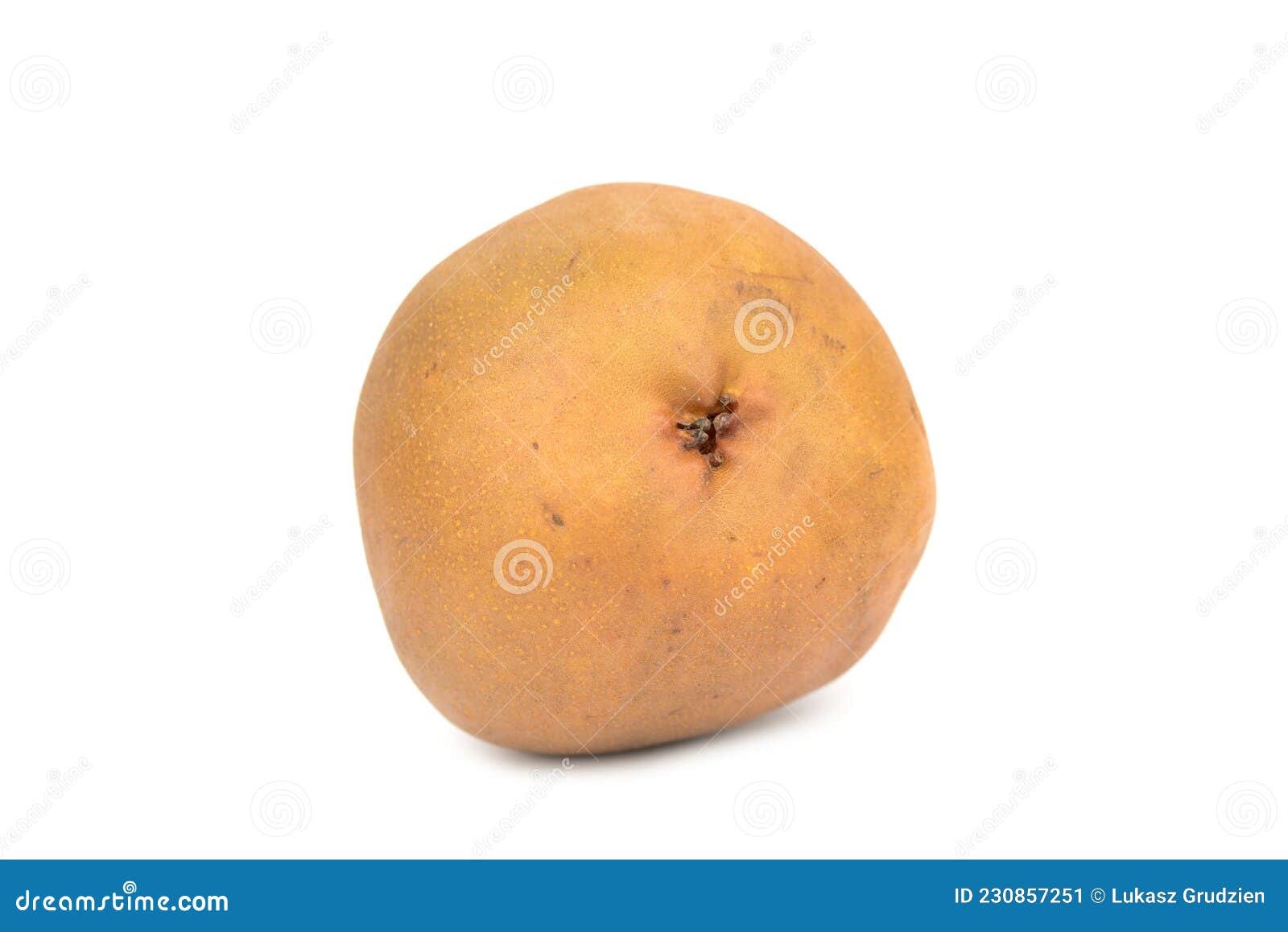 Pear Uta stock image. Image of delicious, isolated, fruit - 230857251