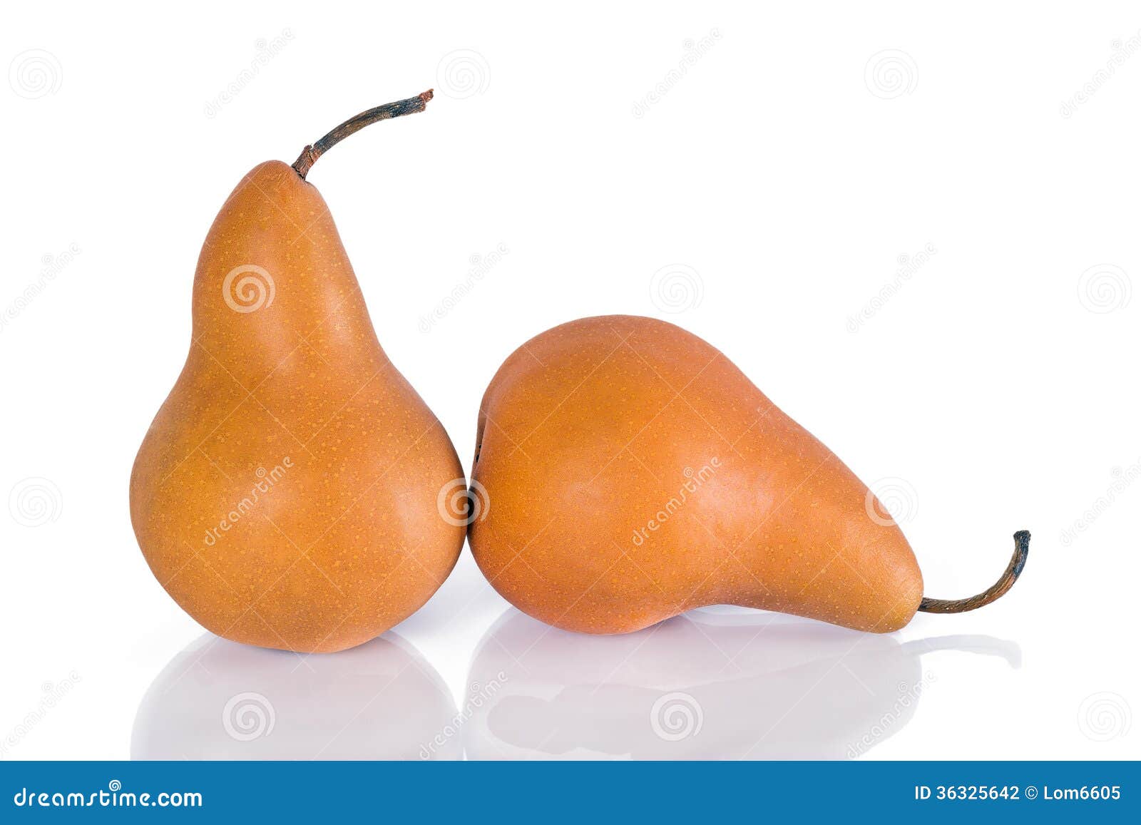 Brown pear stock photo. Image of chinese, macro, reflection - 36325642