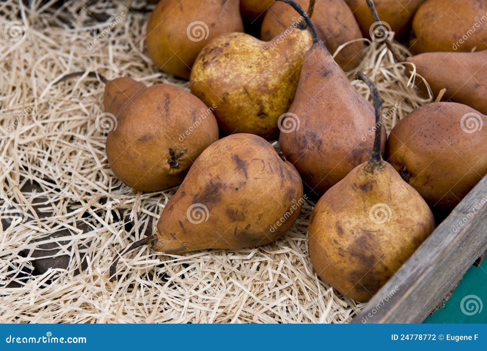 Brown Pears stock photo. Image of fresh, green, bosc - 24778772