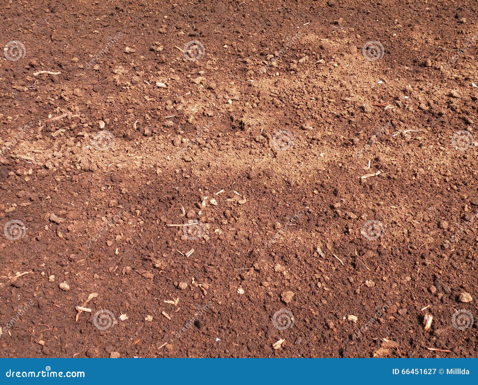 Brown peat texture stock image. Image of surface, nature - 66451627