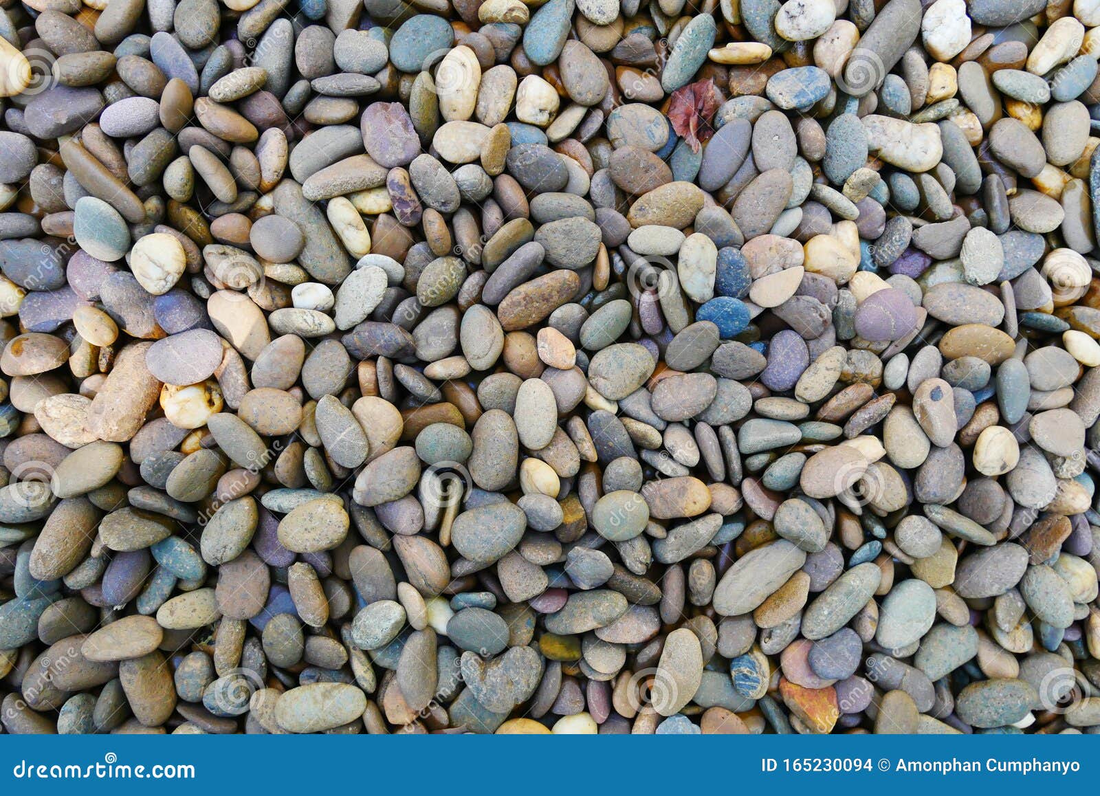 Small Pebble Stone Outdoor Nature, Stone Background Stock Photo - Image ...