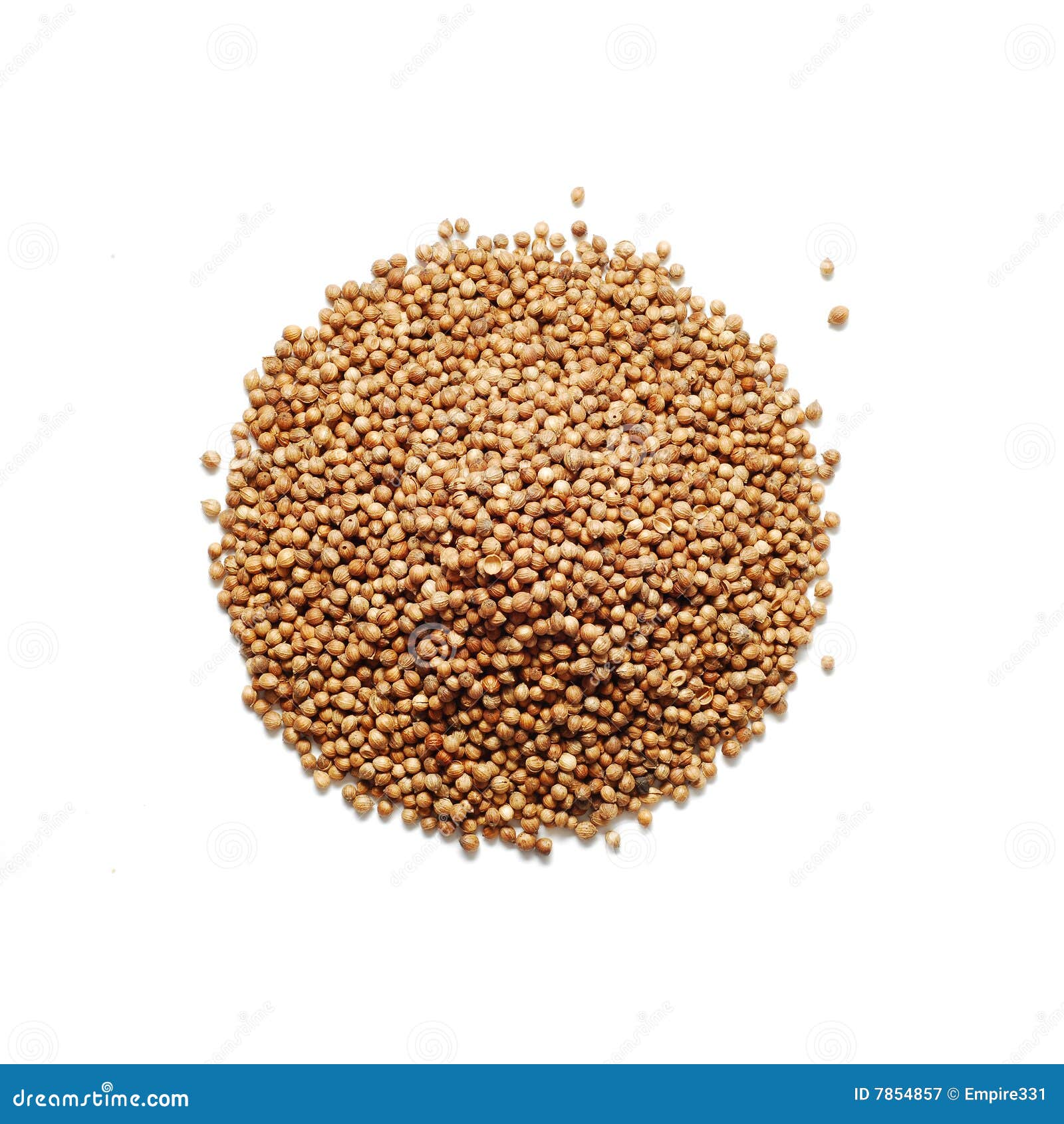 Brown pepper stock image. Image of condiment, kitchen - 7854857